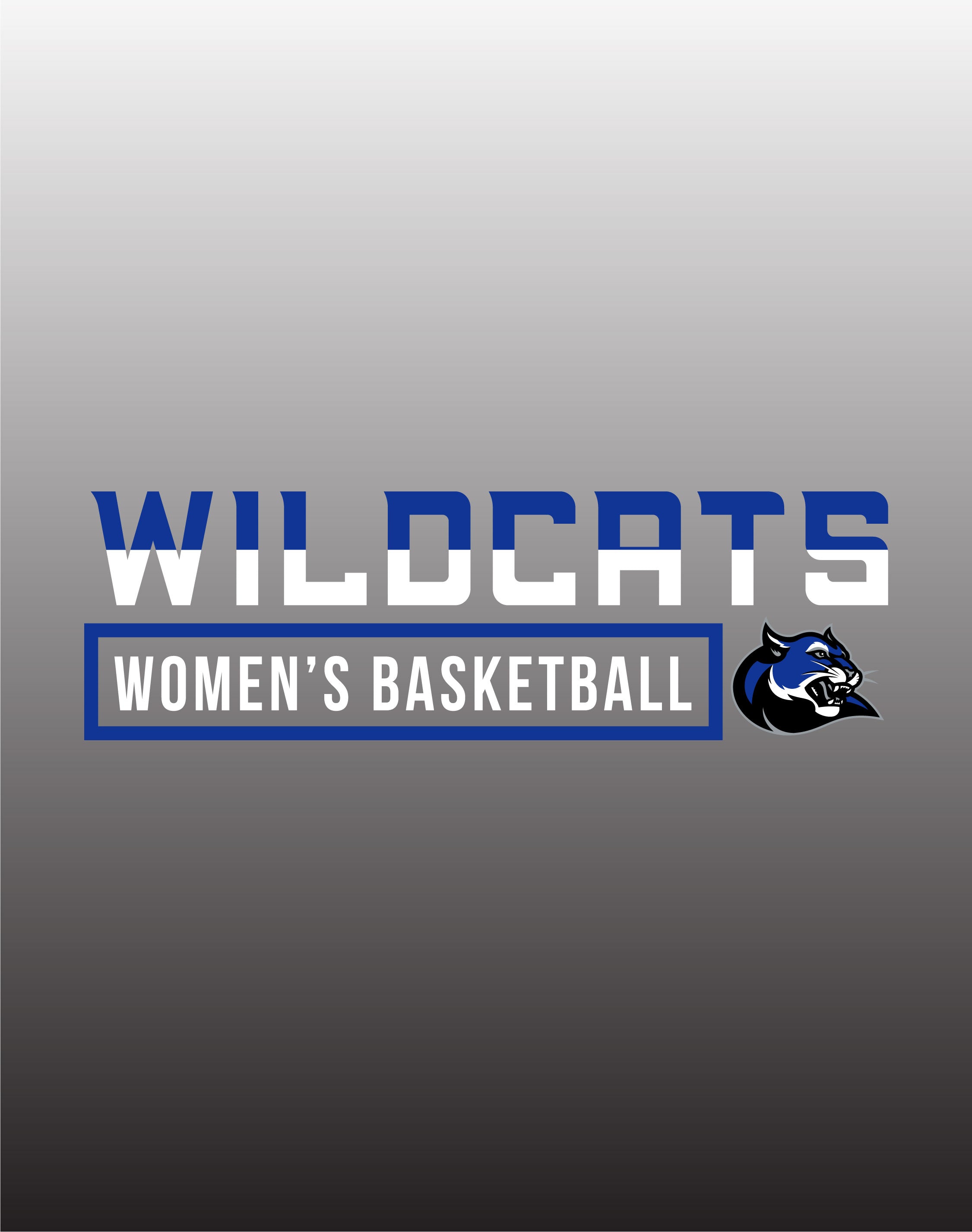 CSC Womens Basketball 2024 Window Decal